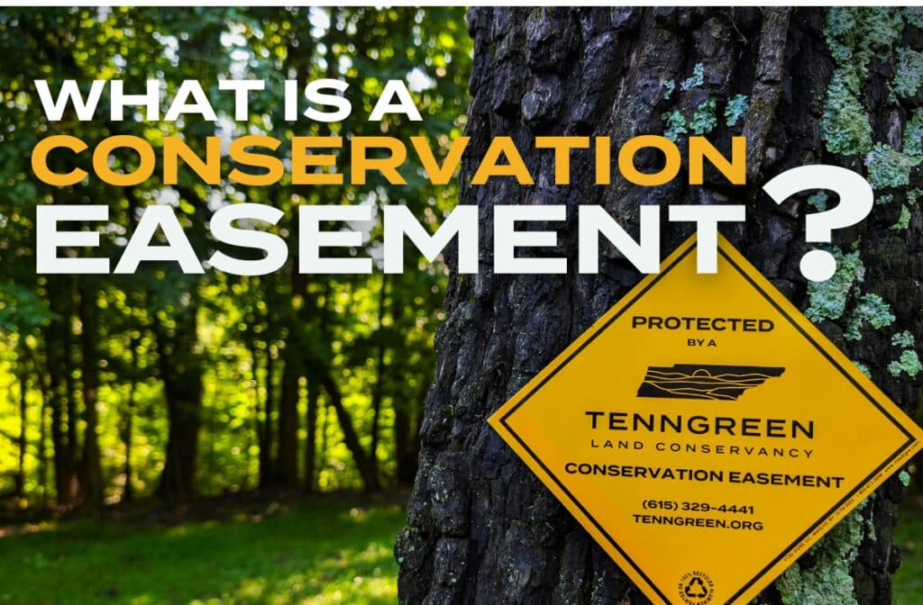 What is a Conservation Easement? - TennGreen Land Conservancy