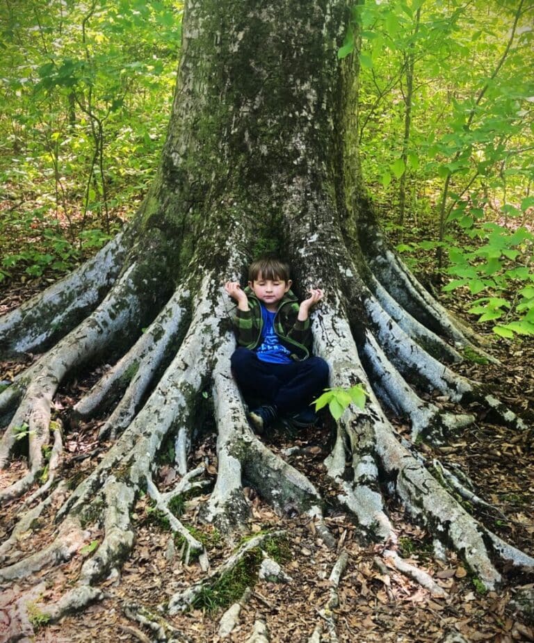 2024 Hall of Fame - TennGreen Land Conservancy
